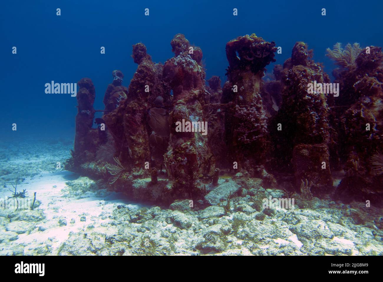 MUSA - The Museum of Underwater Art in Isla Mujeres near Cancun in ...