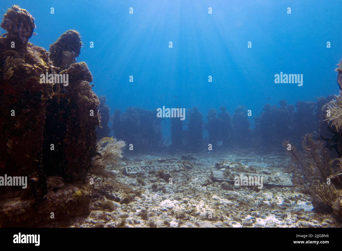 MUSA - The Museum of Underwater Art in Isla Mujeres near Cancun in ...