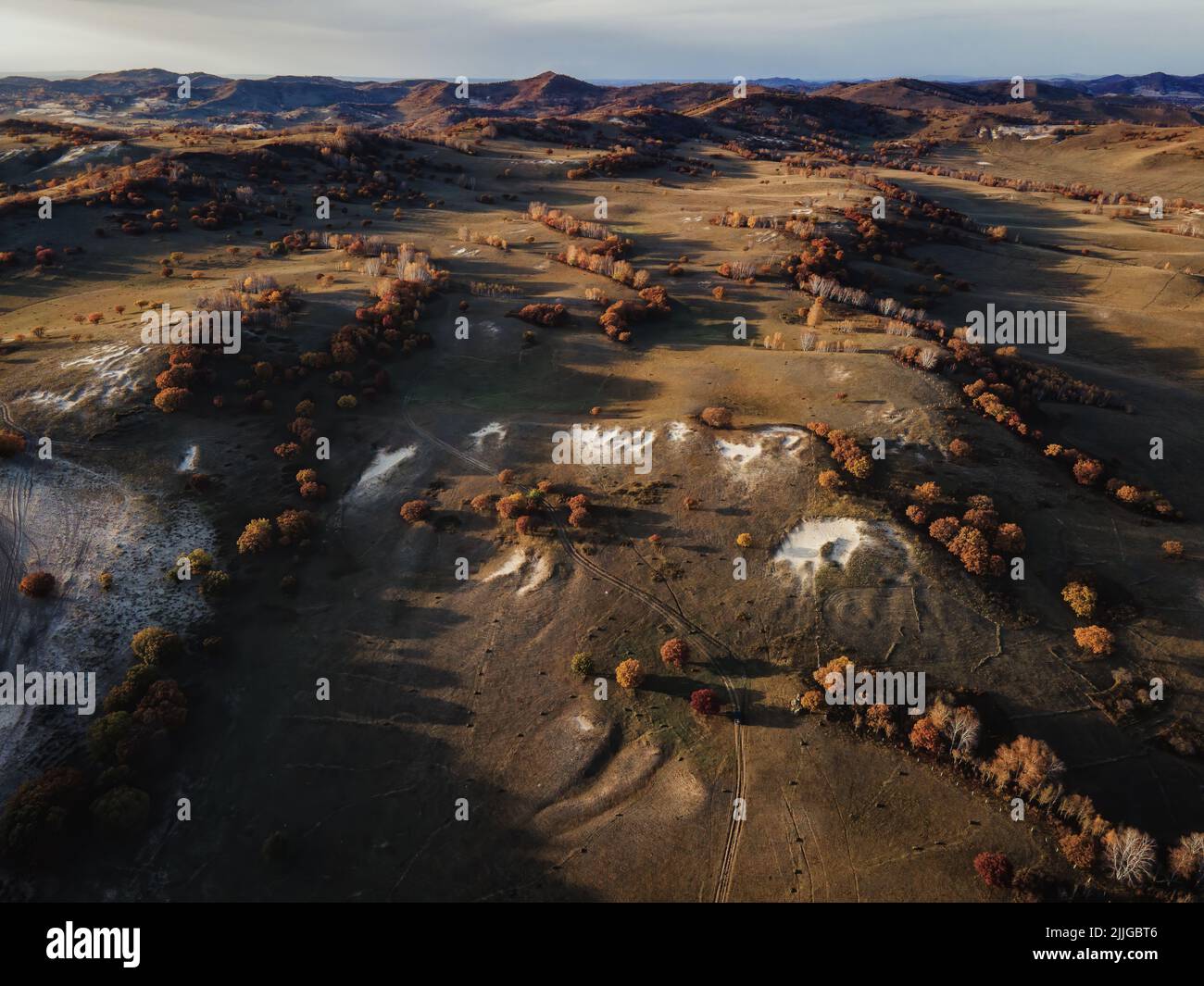 An aerial view of picturesque autumn landscape with rare shrubs on ...