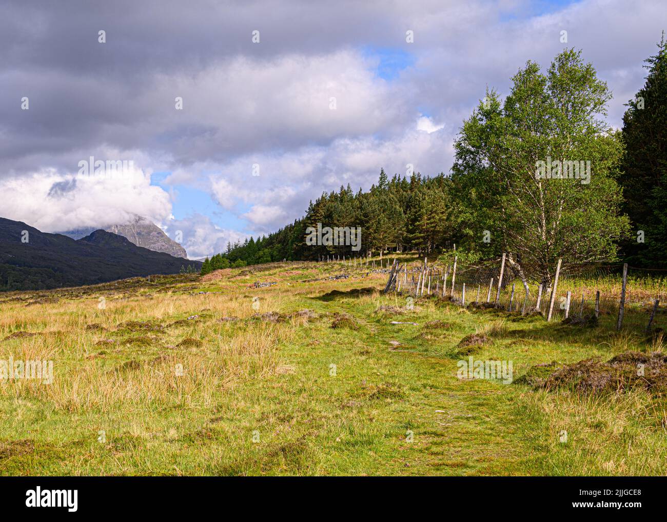 The iconic standard image of the Coulin Pass- the treeline by the ...