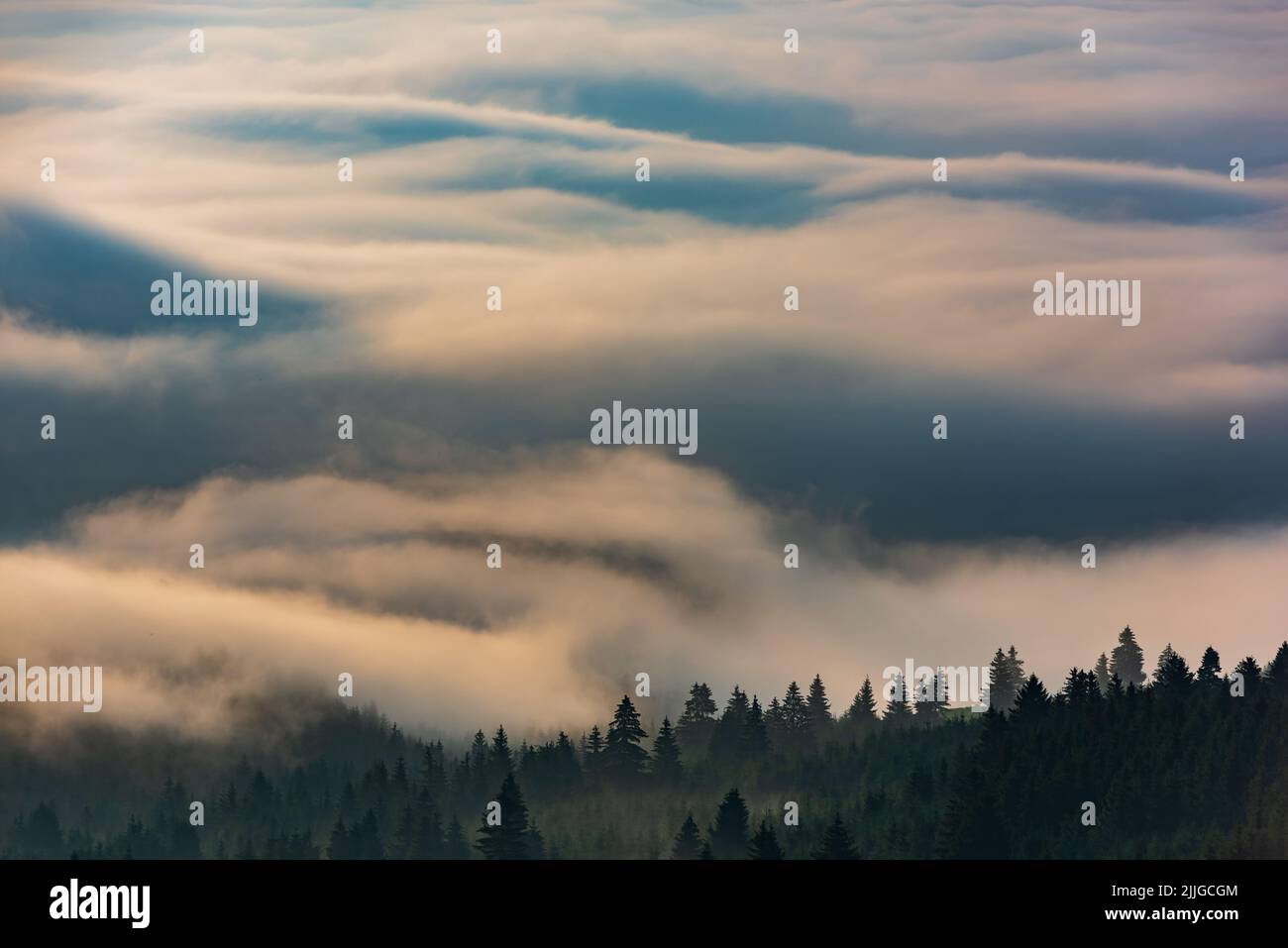 Above fog hi-res stock photography and images - Alamy