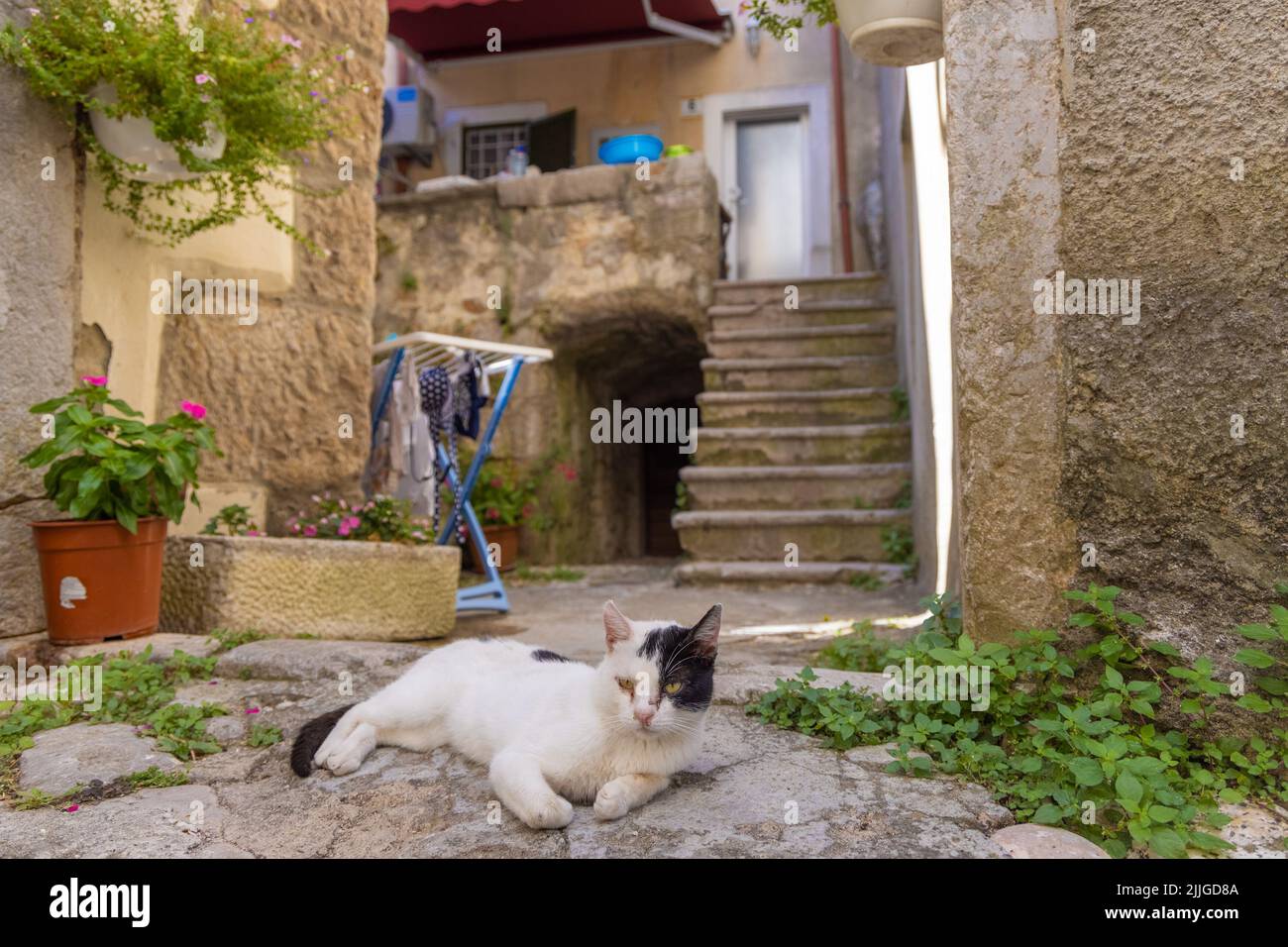Vrbnik town on Krk Island, Croatia Stock Photo - Alamy