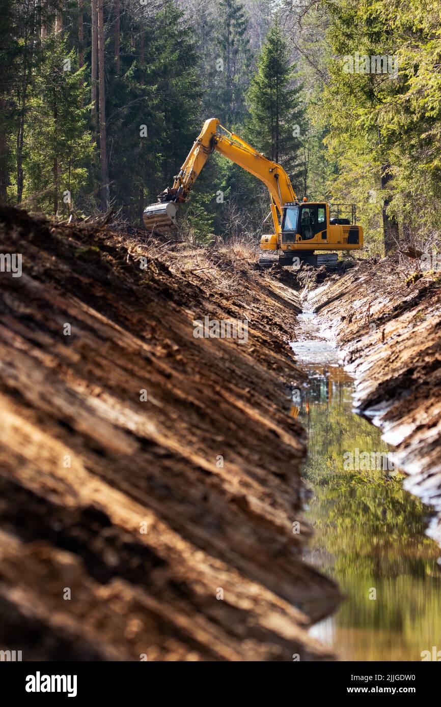Reconstruction of a drainage ditch in the middle of a forest in Estonia ...