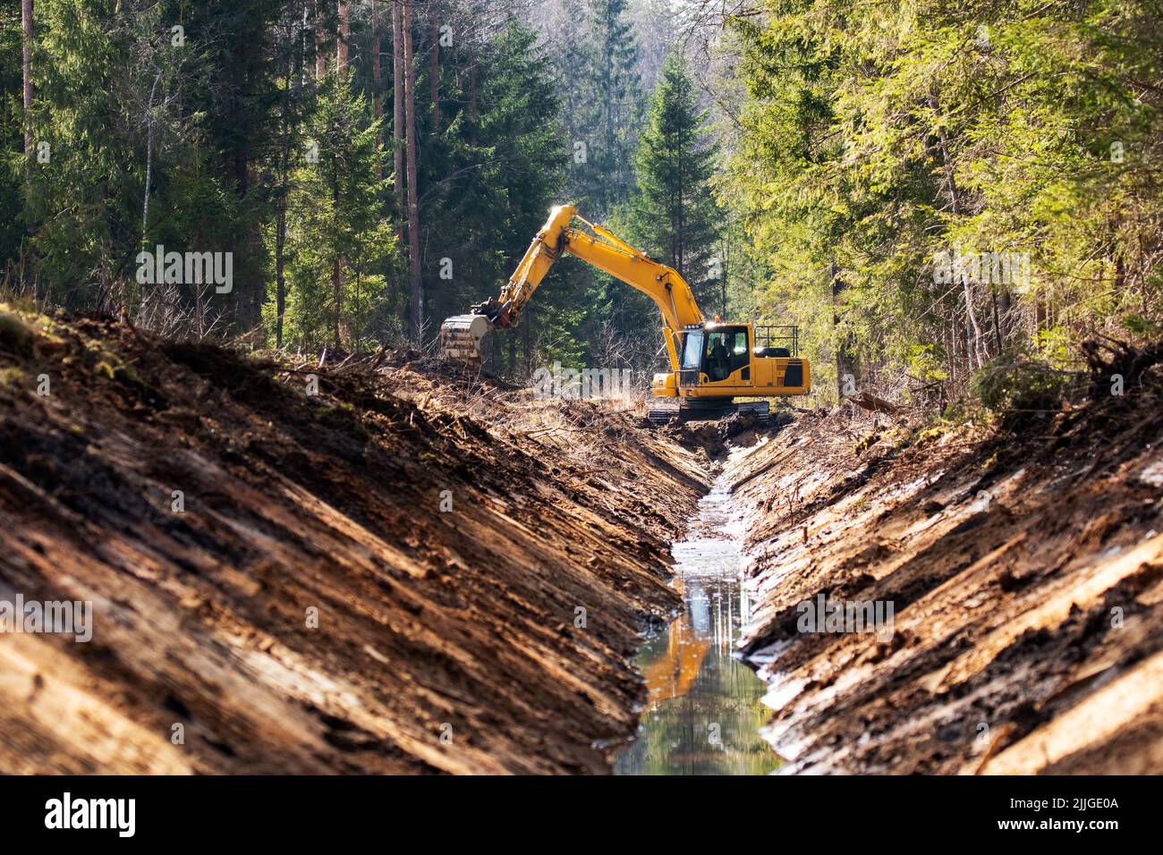 Reconstruction of a drainage ditch in the middle of a forest in Estonia ...