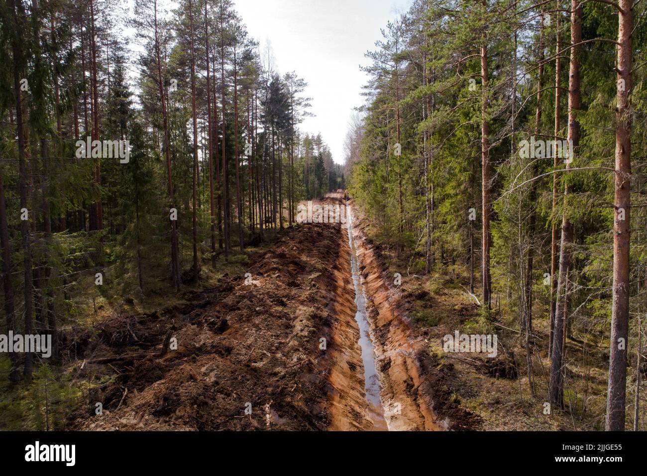 Reconstruction of a drainage ditch in the middle of a forest in Estonia ...