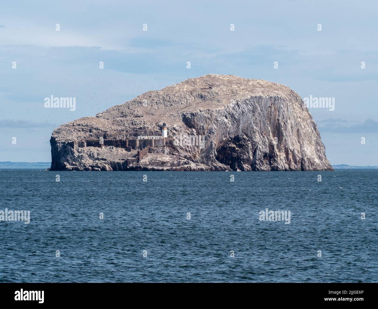 bass rock from coast coast with lighthouse Stock Photo - Alamy