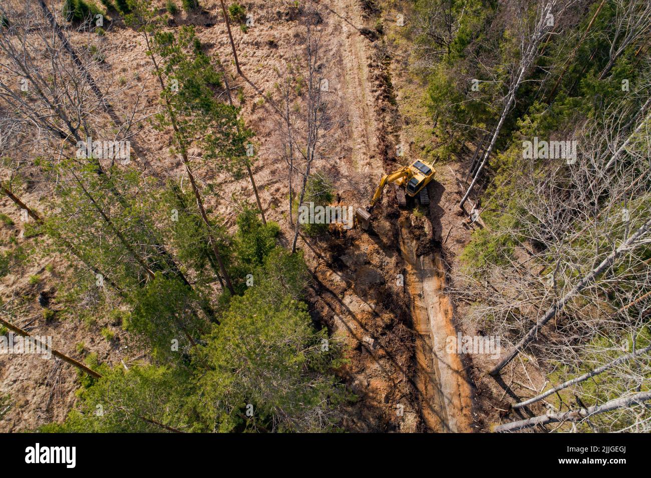 Reconstruction of a drainage ditch in the middle of a forest in Estonia ...