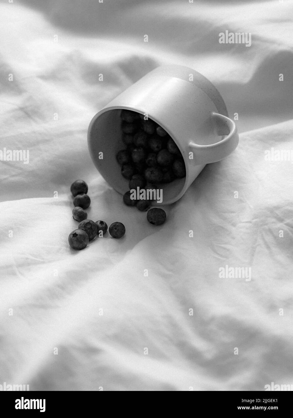 Blueberries vertical Black and White Stock Photos & Images - Alamy