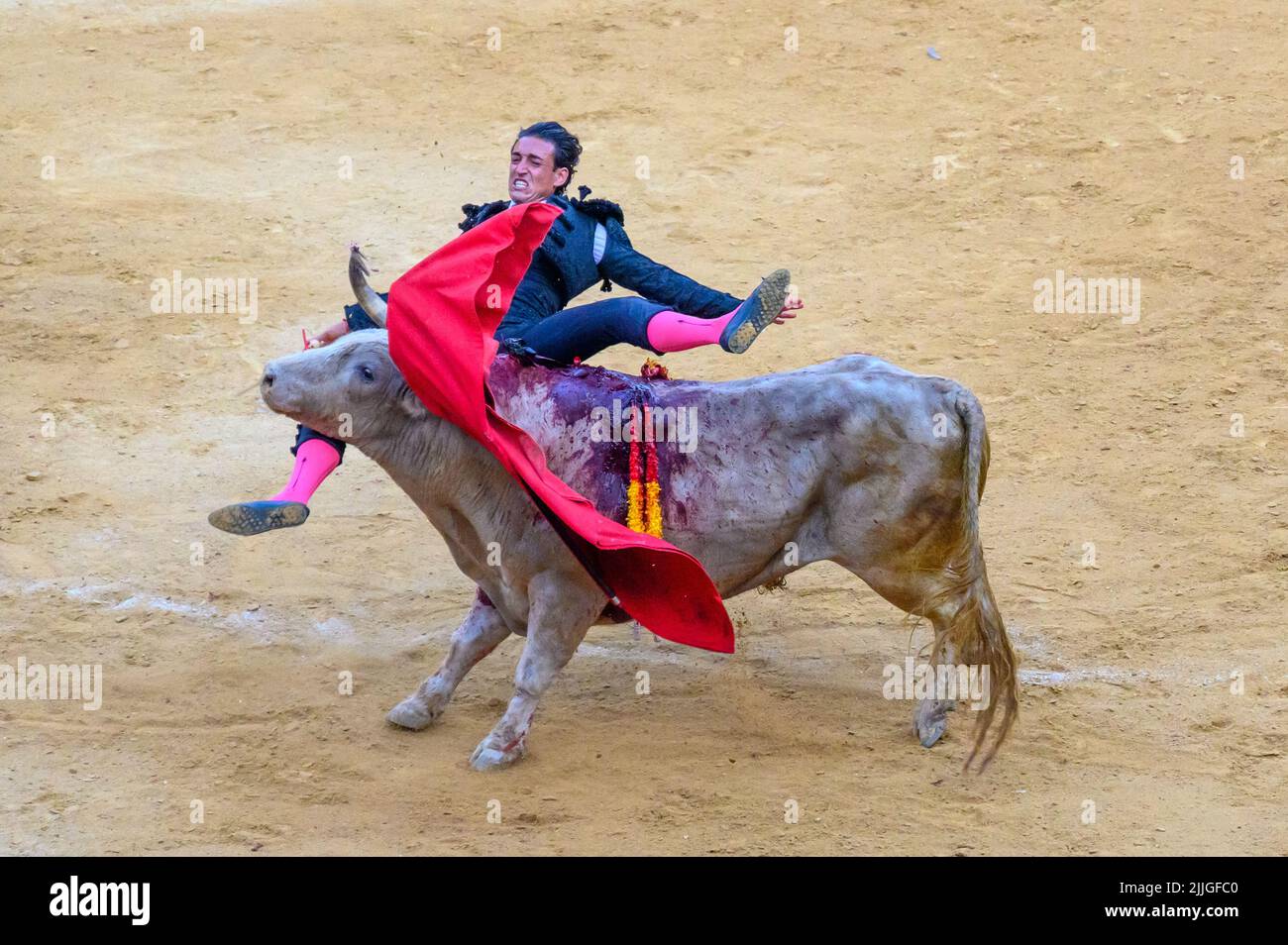 Jesus Duque, bullfighter from Valencia, was caught in a spectacular way ...