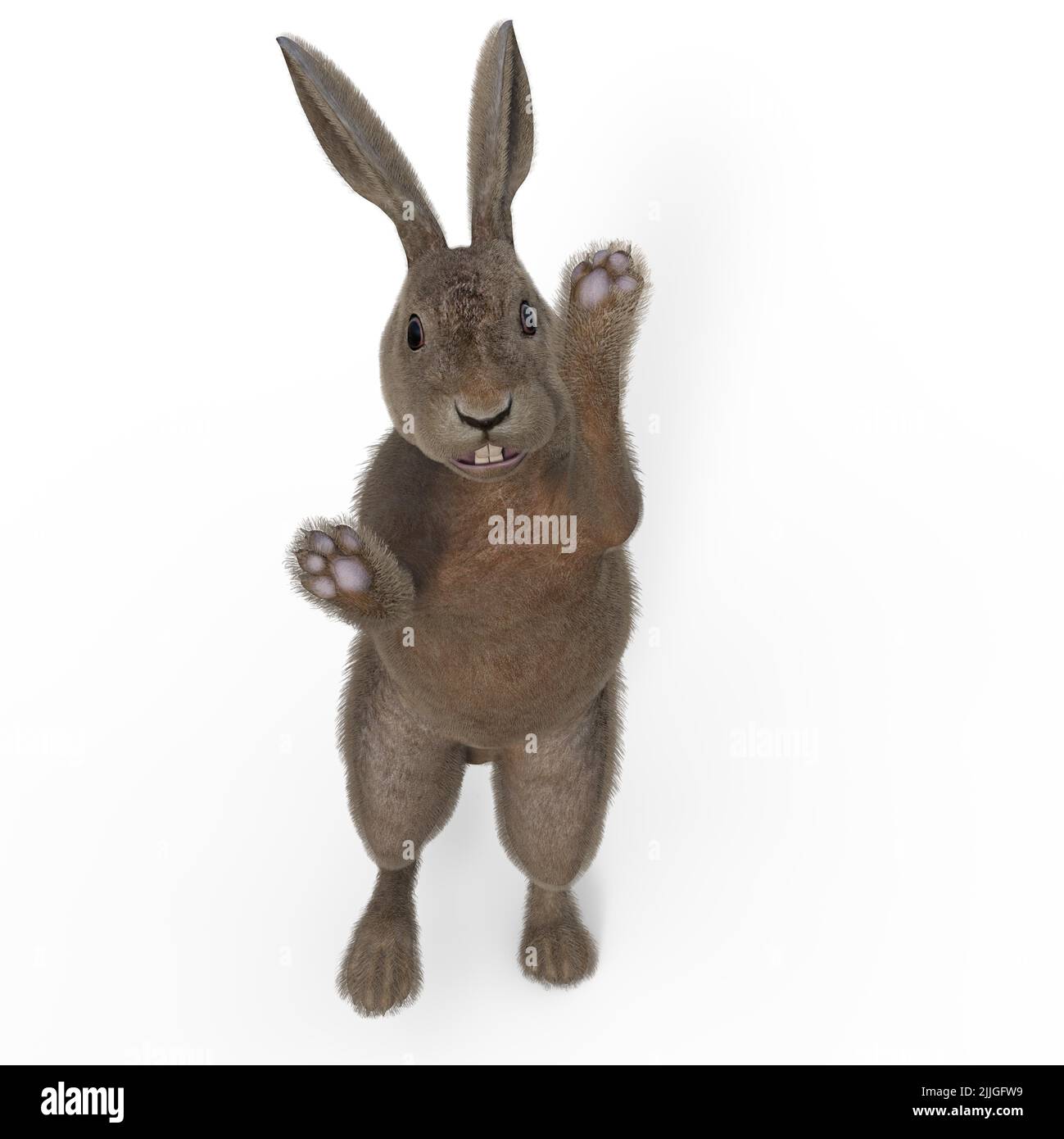 3d-illustration of an isolated standing rabbit animal pet Stock Photo ...