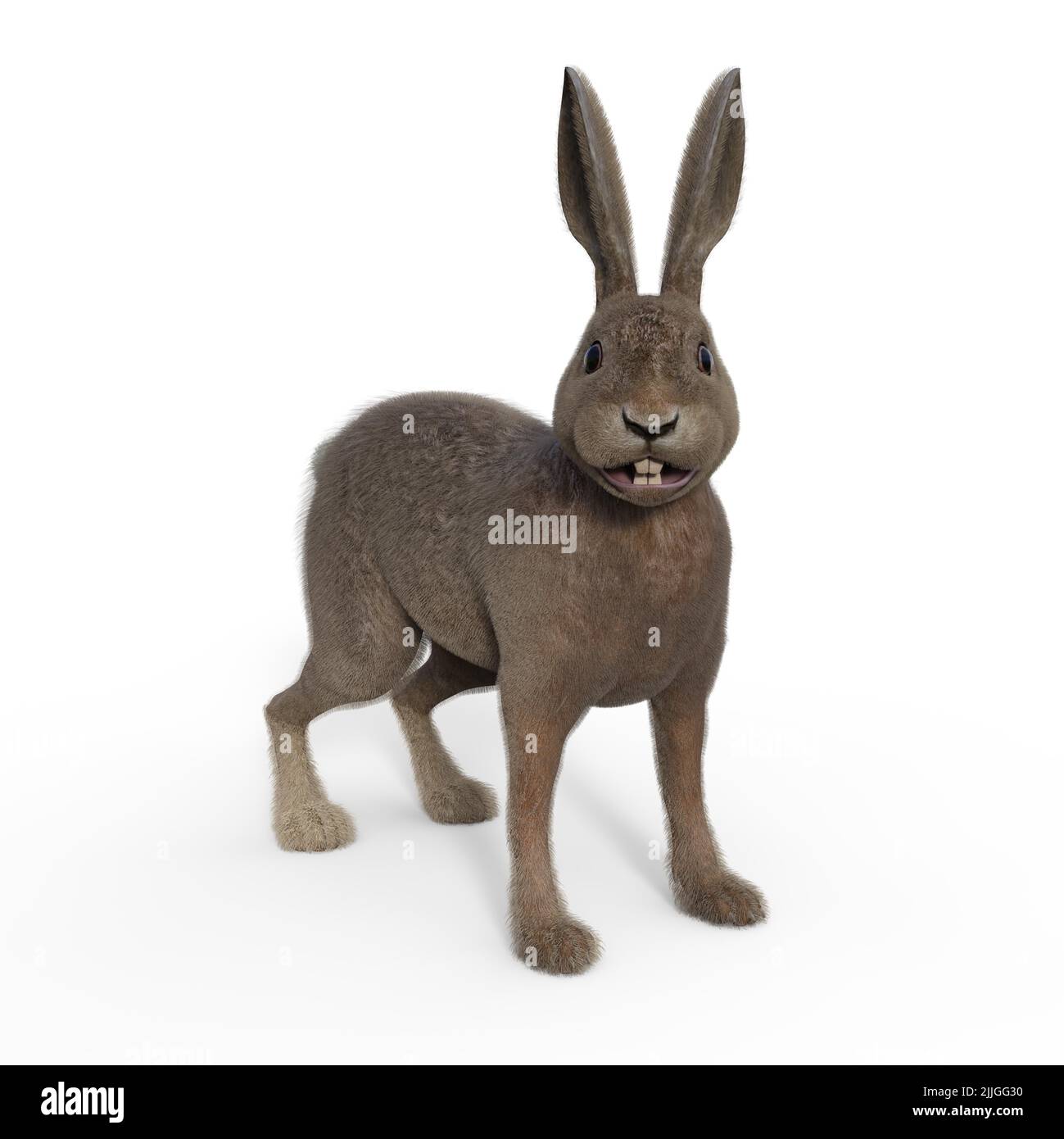 Rabbit portrait illustration hi-res stock photography and images - Alamy