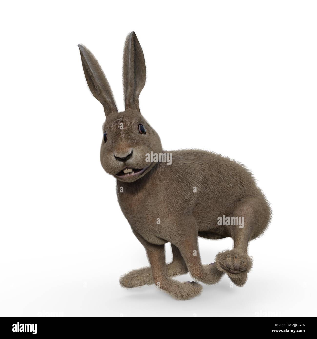 Rabbit running illustration hi-res stock photography and images - Alamy