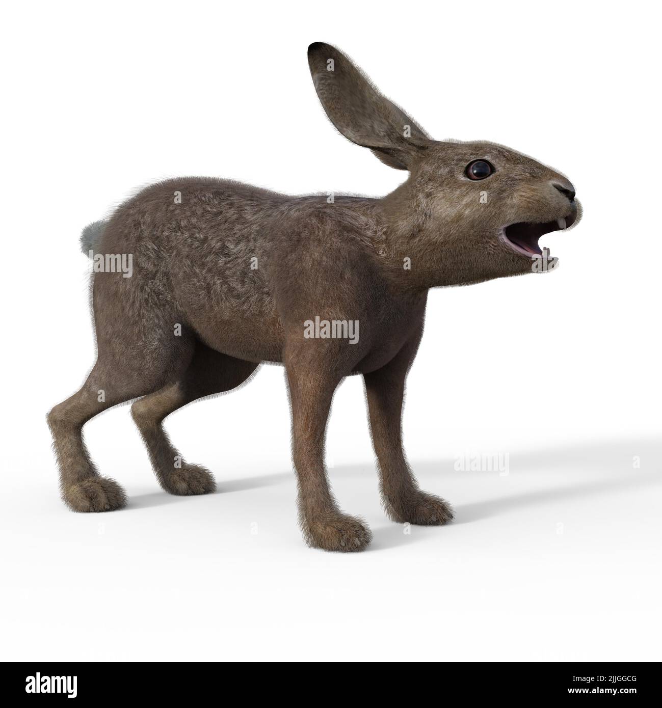 Cartoon illustration rabbit talking hi-res stock photography and images ...