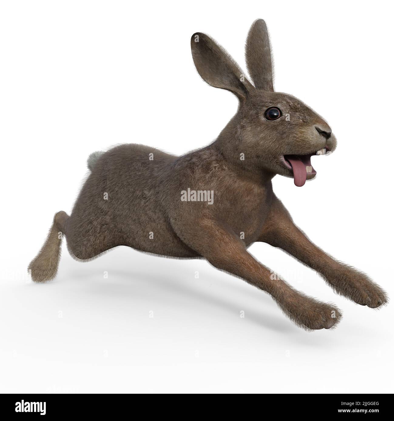 Rabbit running illustration hi-res stock photography and images - Alamy