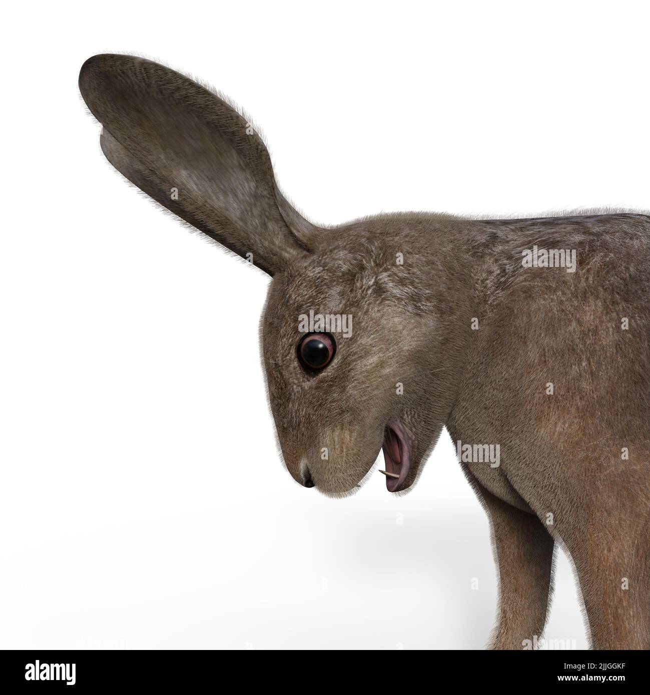 Cartoon illustration rabbit talking hi-res stock photography and images ...