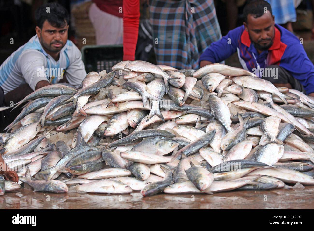 Bangladeshi fishermen fishing hi-res stock photography and images - Alamy