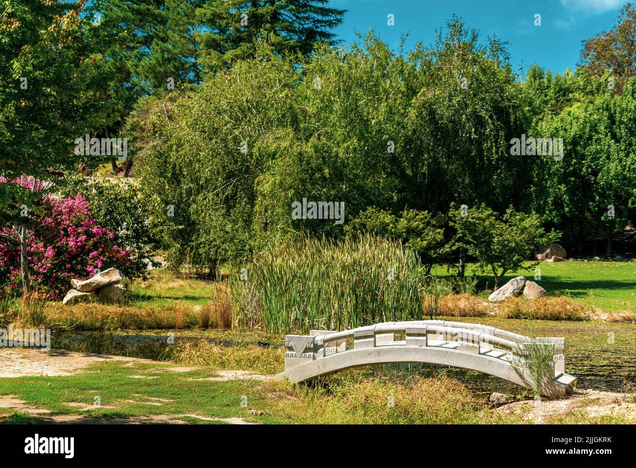 Small bridge in garden hi-res stock photography and images - Alamy