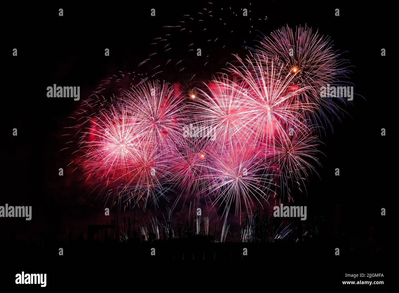 The pink fireworks in the nights sky - festive background Stock Photo ...