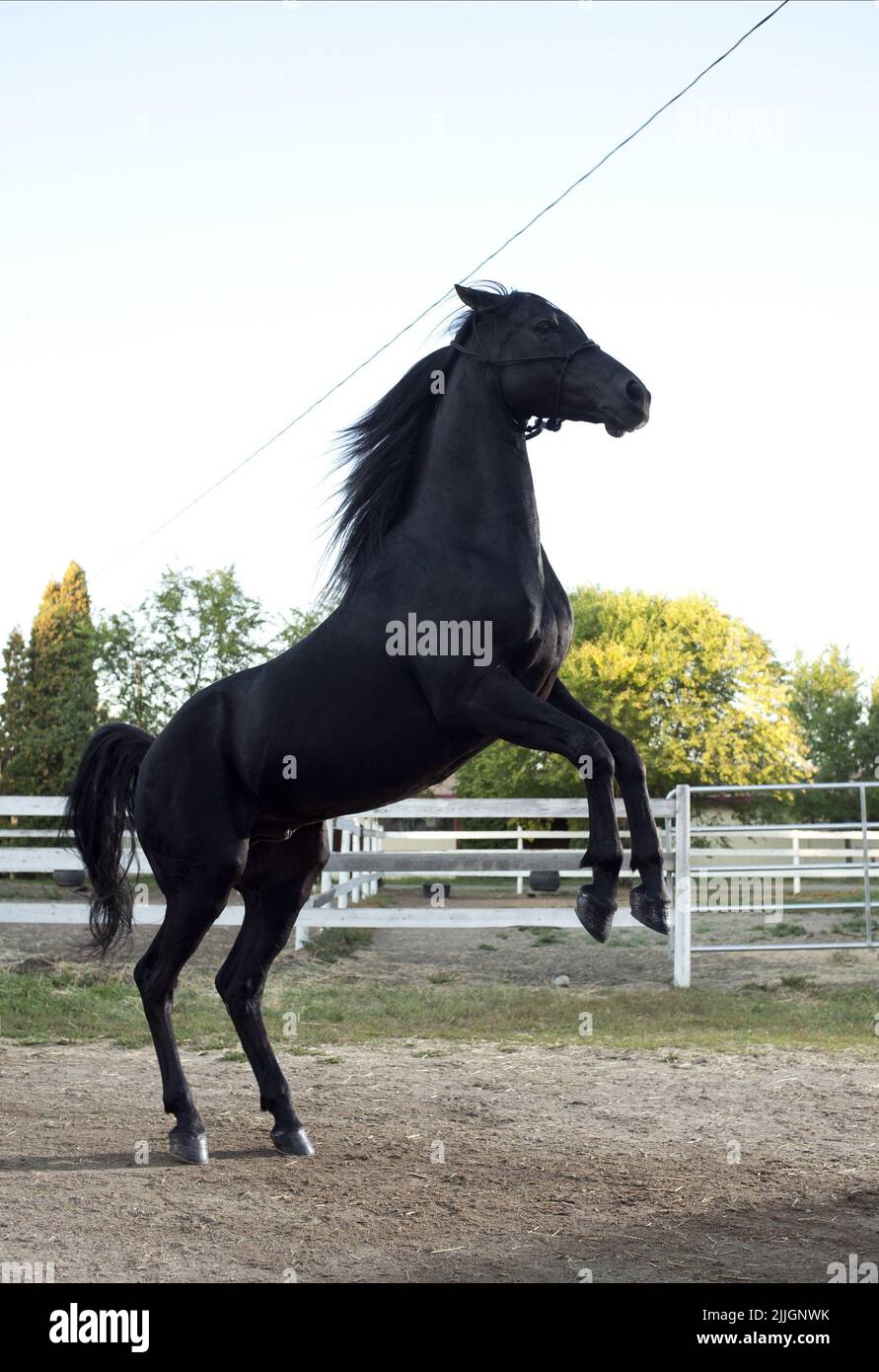 Flicka 10 hi-res stock photography and images - Alamy