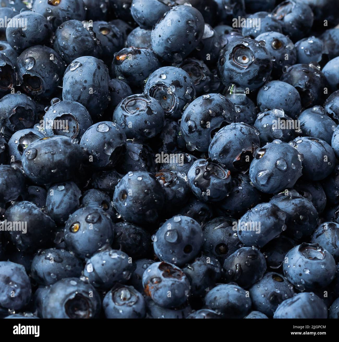 blueberry. Fresh Bilberries. Close-up background Stock Photo - Alamy
