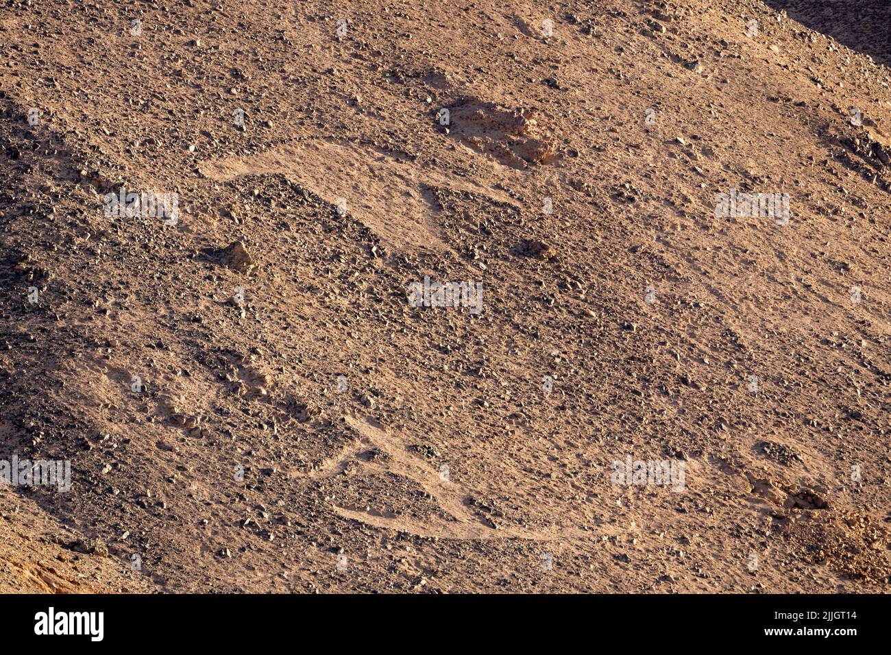 The Cerros Pintados Geoglyphs were made between 700 and 1500 A.D in the ...