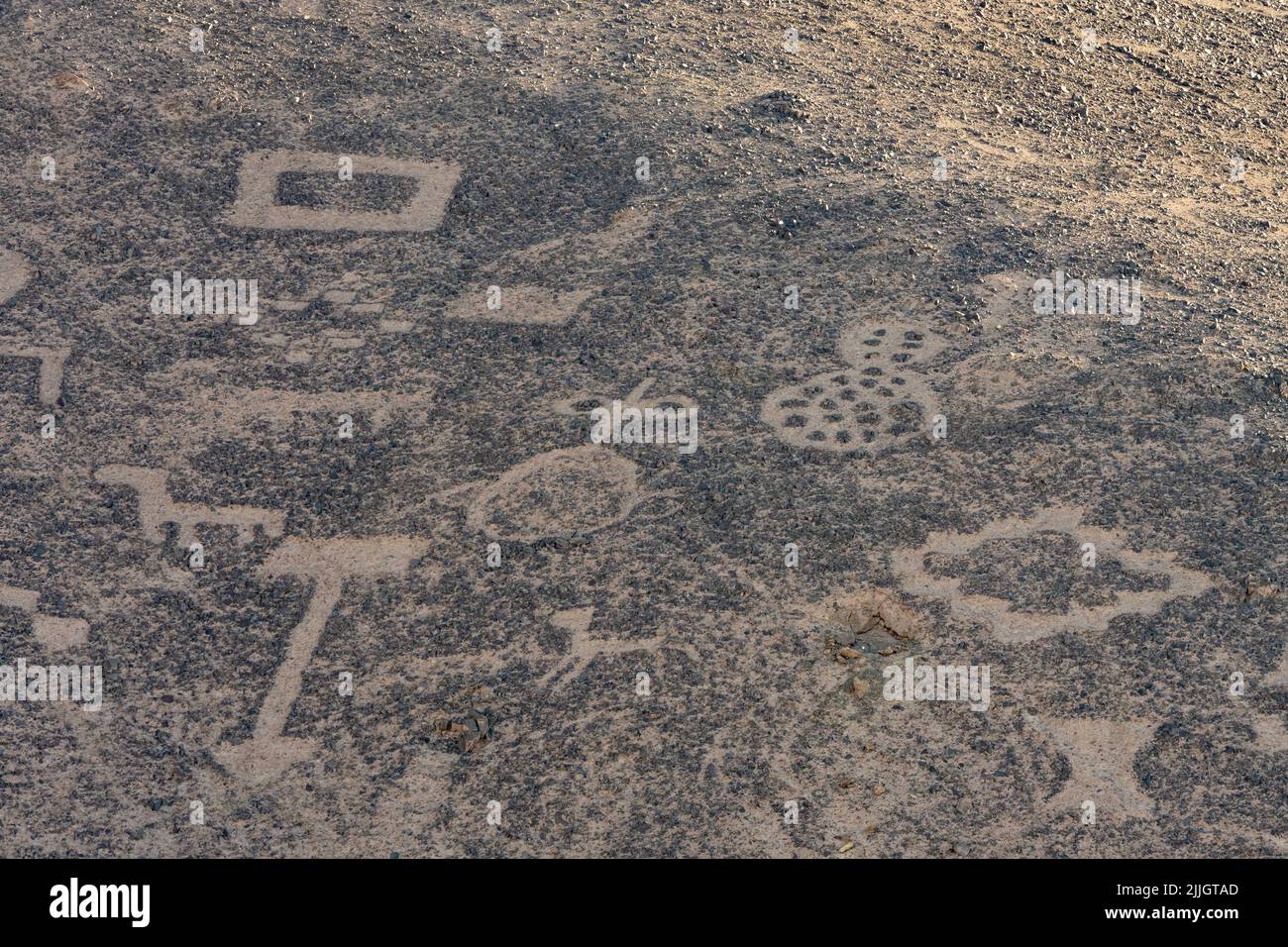 The Cerros Pintados Geoglyphs were made between 700 and 1500 A.D in the ...