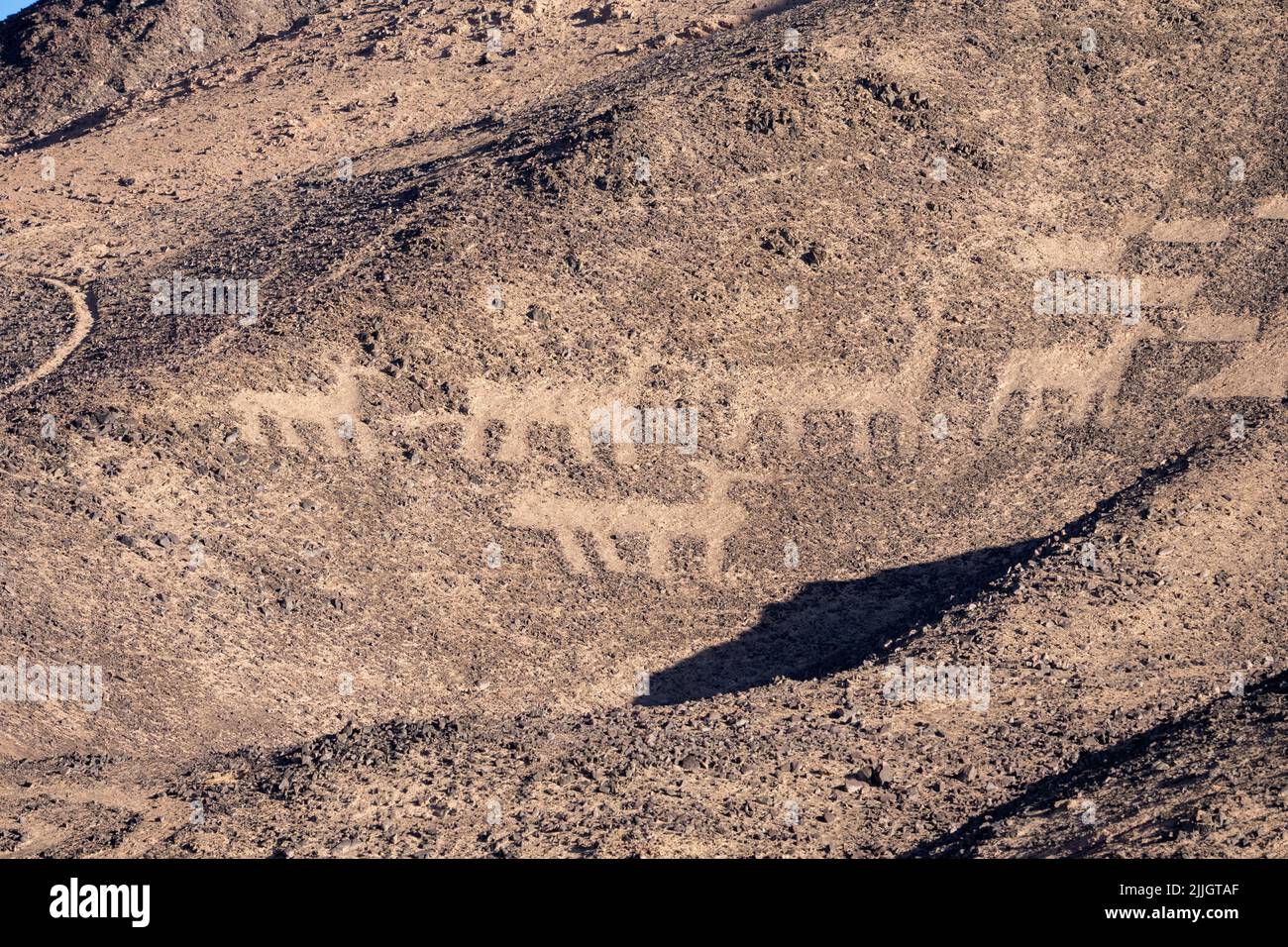 The Cerros Pintados Geoglyphs were made between 700 and 1500 A.D in the ...