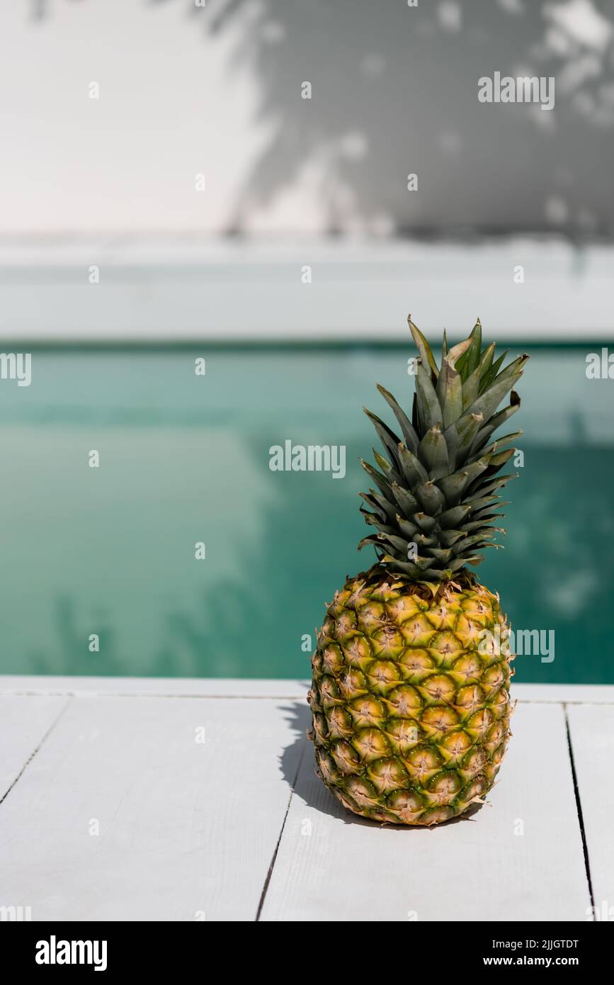 tropical and sweet pineapple near blue water in swimming pool Stock ...