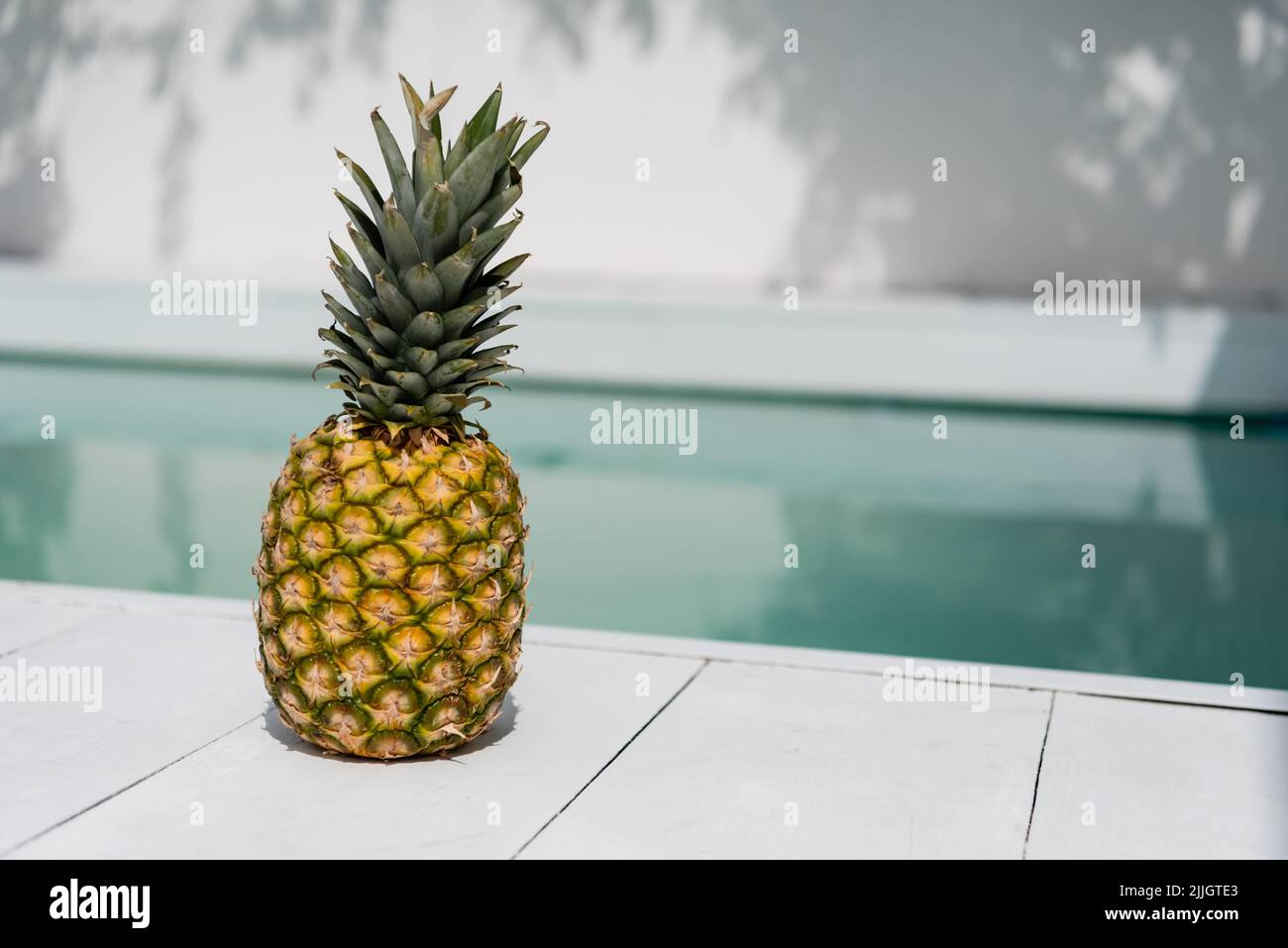 tropical and ripe pineapple near blue water in swimming pool Stock ...