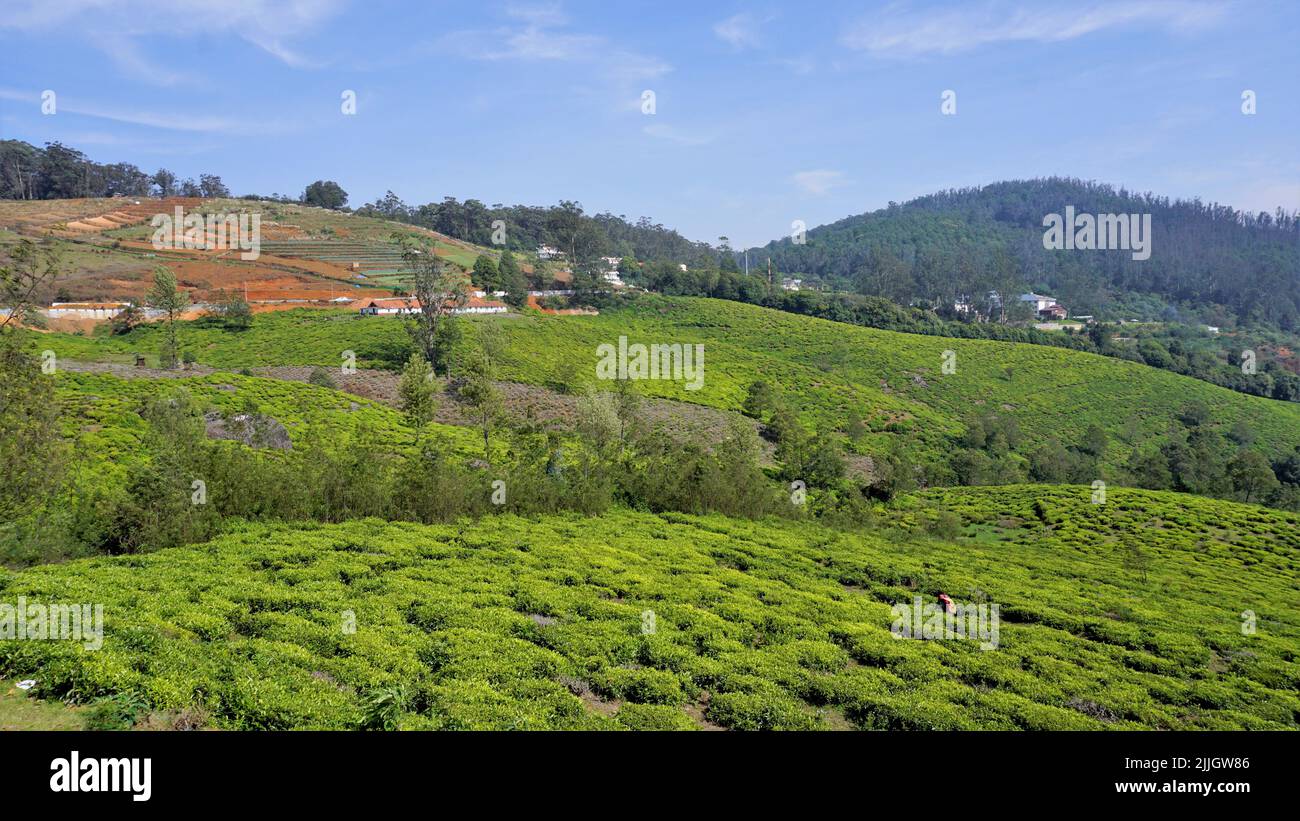 Nilgiri hills hi-res stock photography and images - Alamy