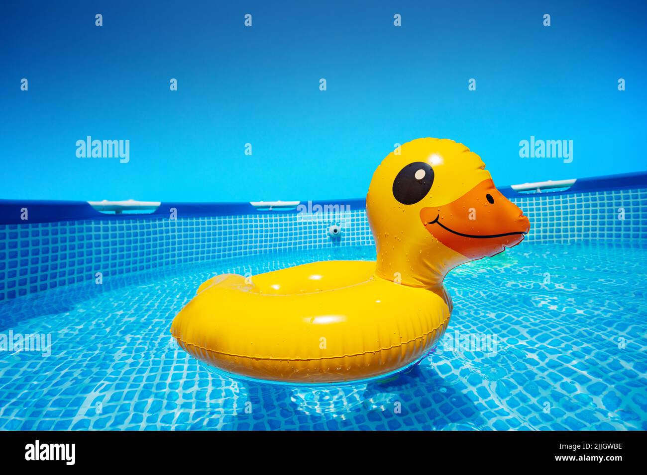 Inflatable cute surprised yellow duck swim in the pool Stock Photo - Alamy