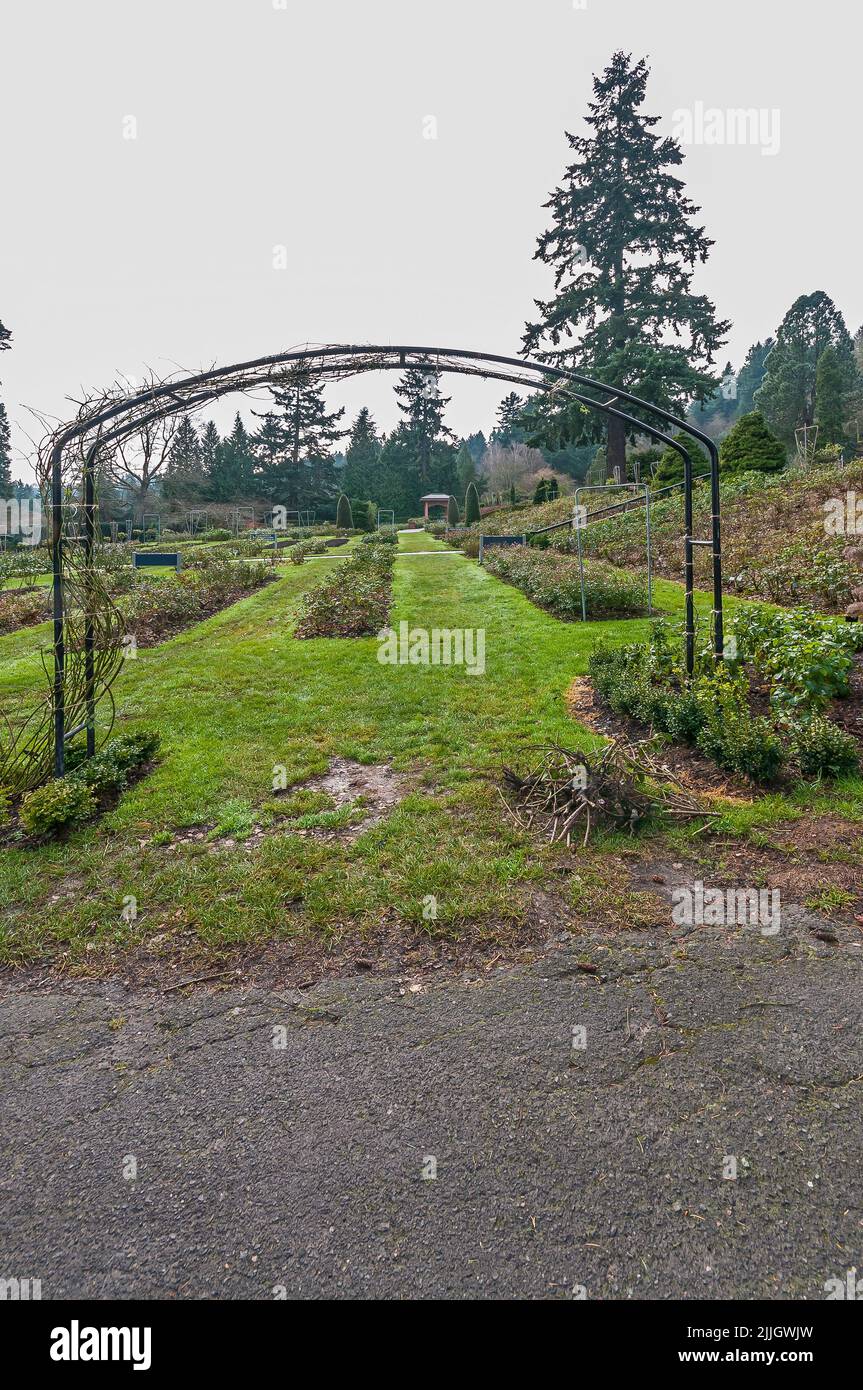 Roses arbor garden trellis hi-res stock photography and images - Alamy
