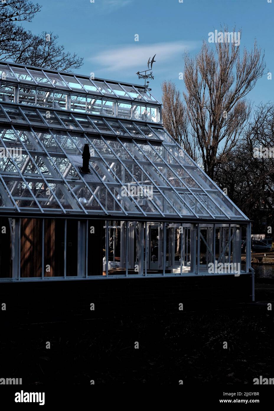 The avenues hull hi-res stock photography and images - Alamy