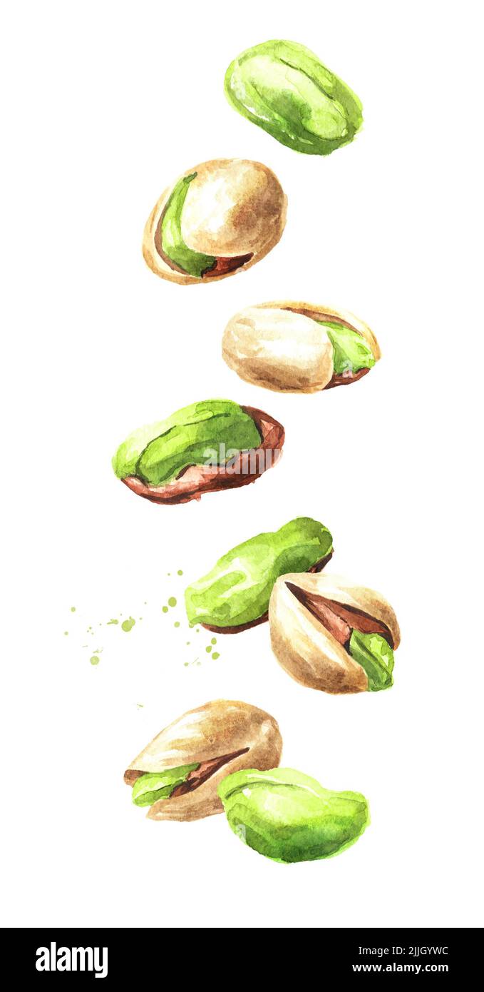 Falling pistachio nuts. Watercolor hand drawn illustration isolated on ...