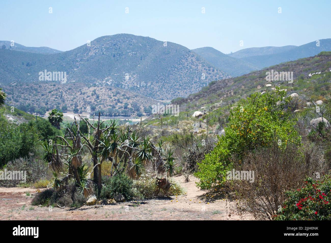 Hill lake hodges hi-res stock photography and images - Alamy