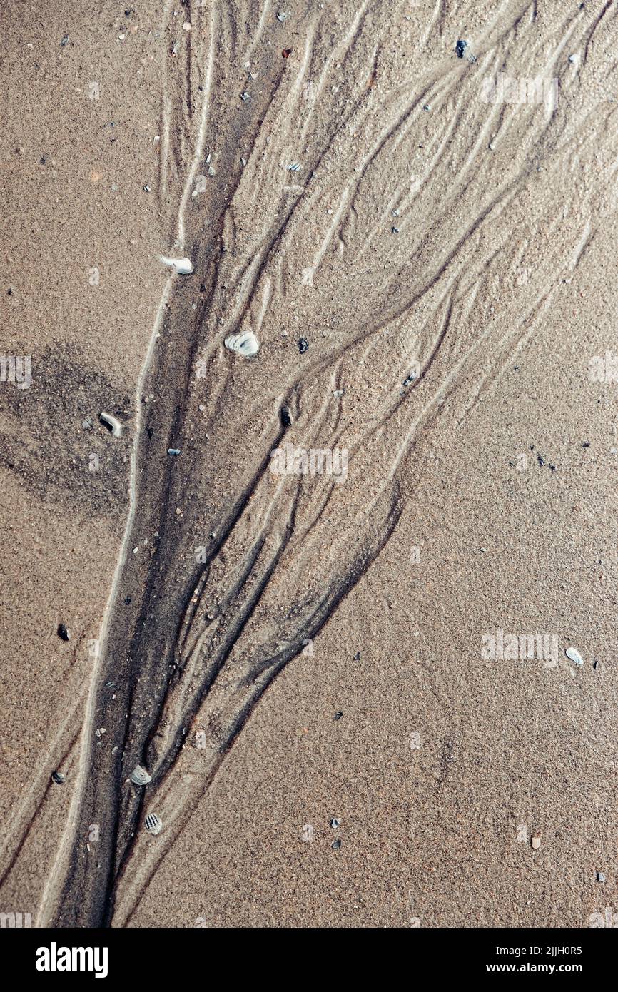 abstract sea background, wadden sea, mud flat Stock Photo - Alamy