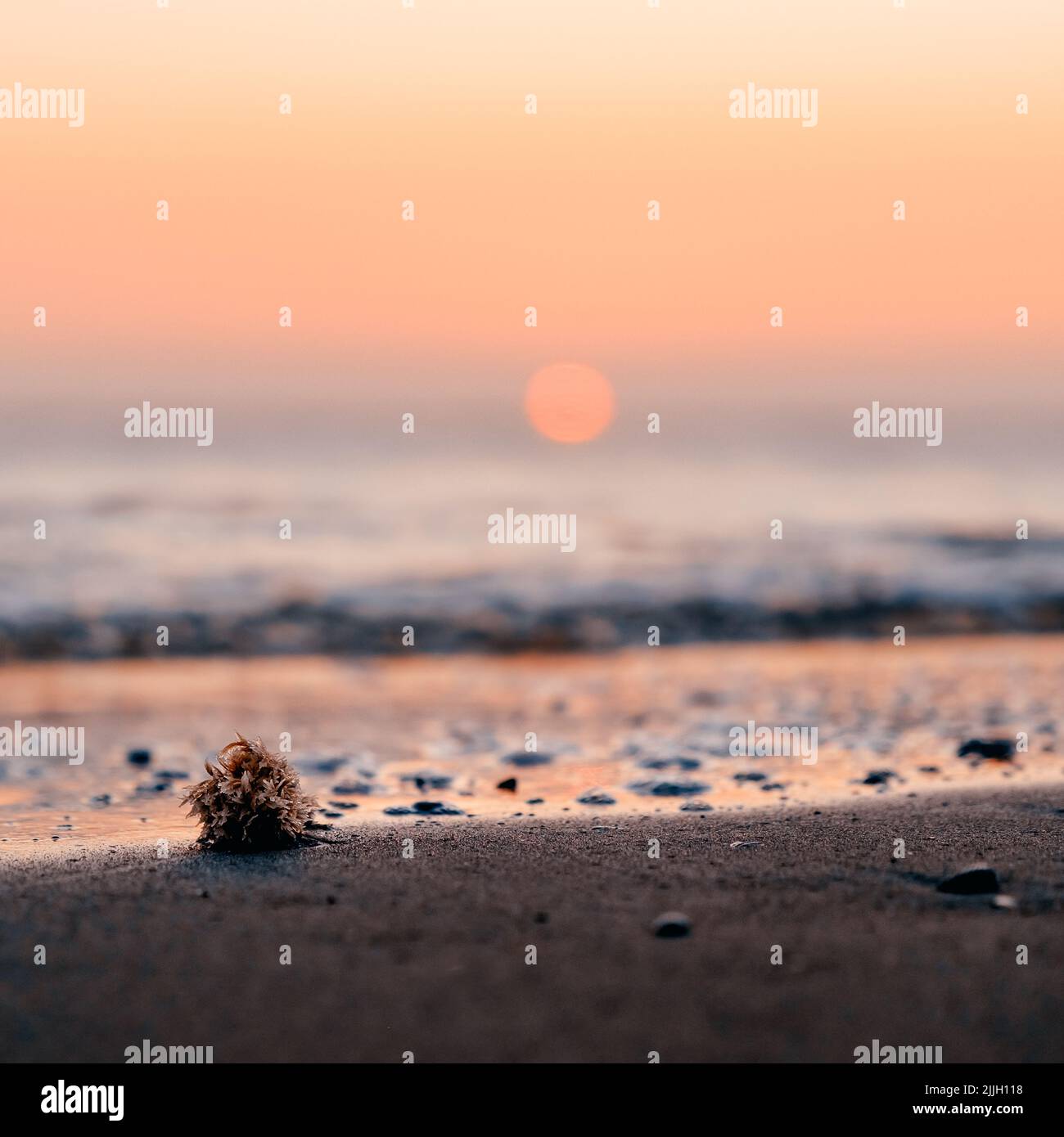 colorful sunset on the beach, North Sea, mud flat Stock Photo - Alamy
