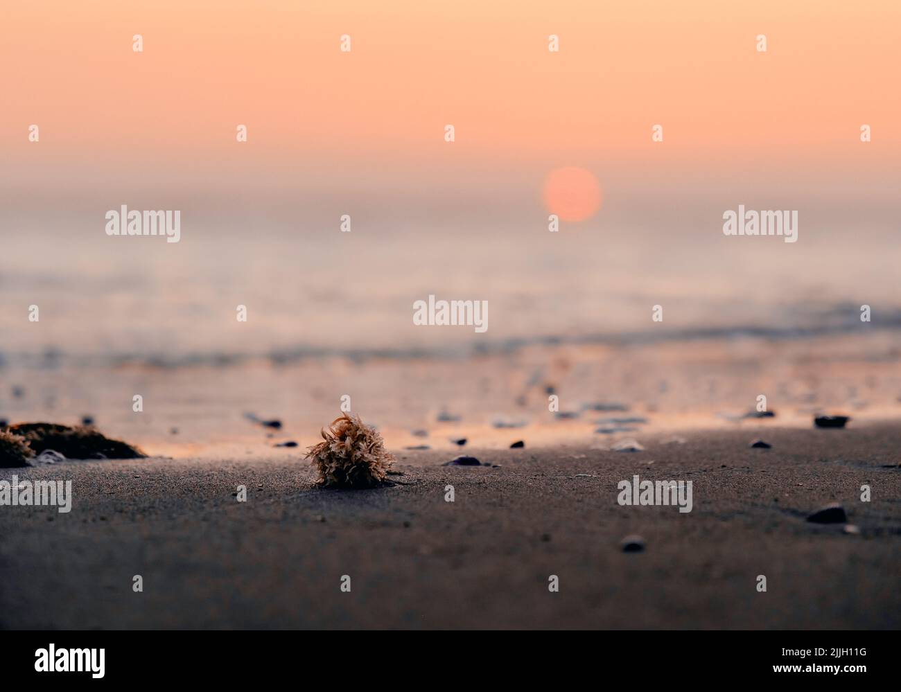 colorful sunset on the beach, North Sea, mud flat Stock Photo - Alamy
