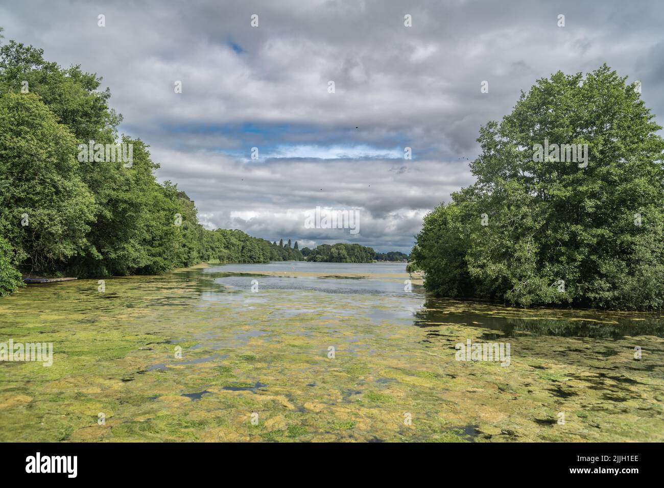Staffordshire Lake water with algae sunny Day, Stoke-on-Trent, UK Stock ...