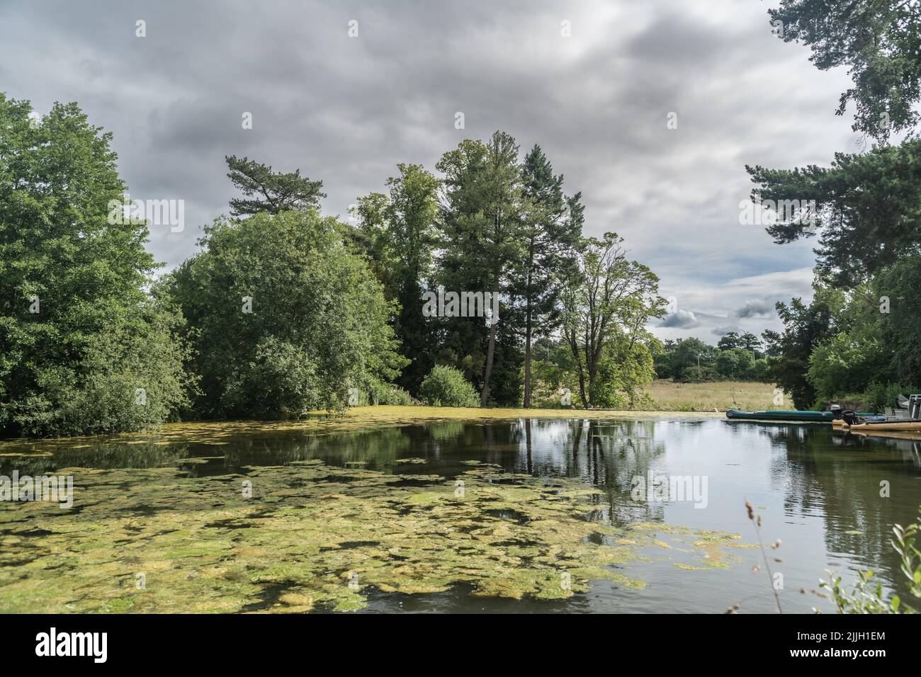 Staffordshire Lake water with algae sunny Day, Stoke-on-Trent, UK Stock ...