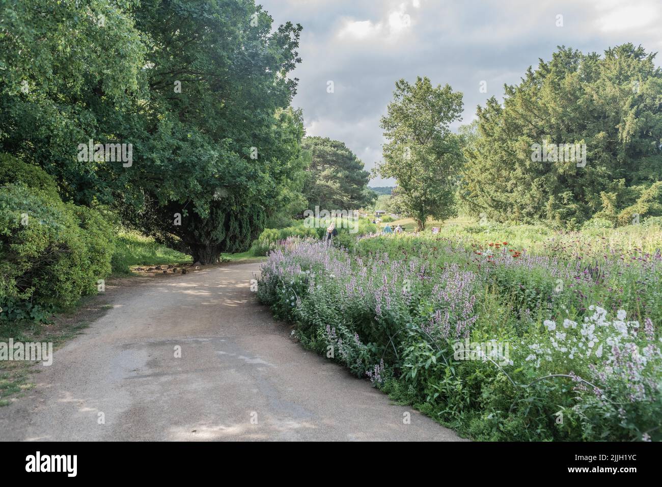 Staffordshire Lakeside pathway sunny day landscape, Stoke-on-Trent, UK ...