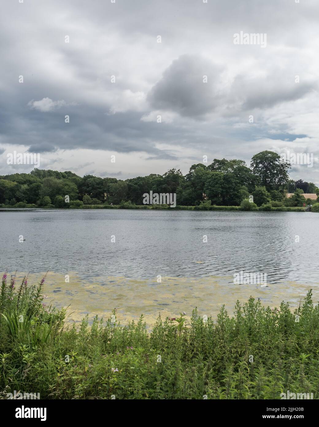 Staffordshire Lake water with algae sunny Day, Stoke-on-Trent, UK Stock ...
