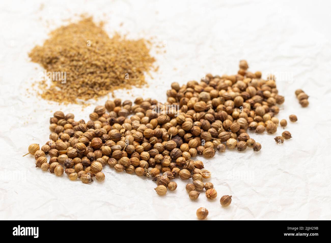 Coriander seeds and ground coriander on the table. Close up. Top view ...