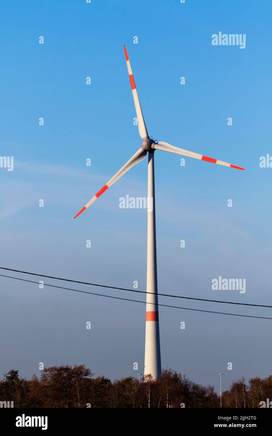 A portrait of a big windmill standing tall above the tree line. The ...