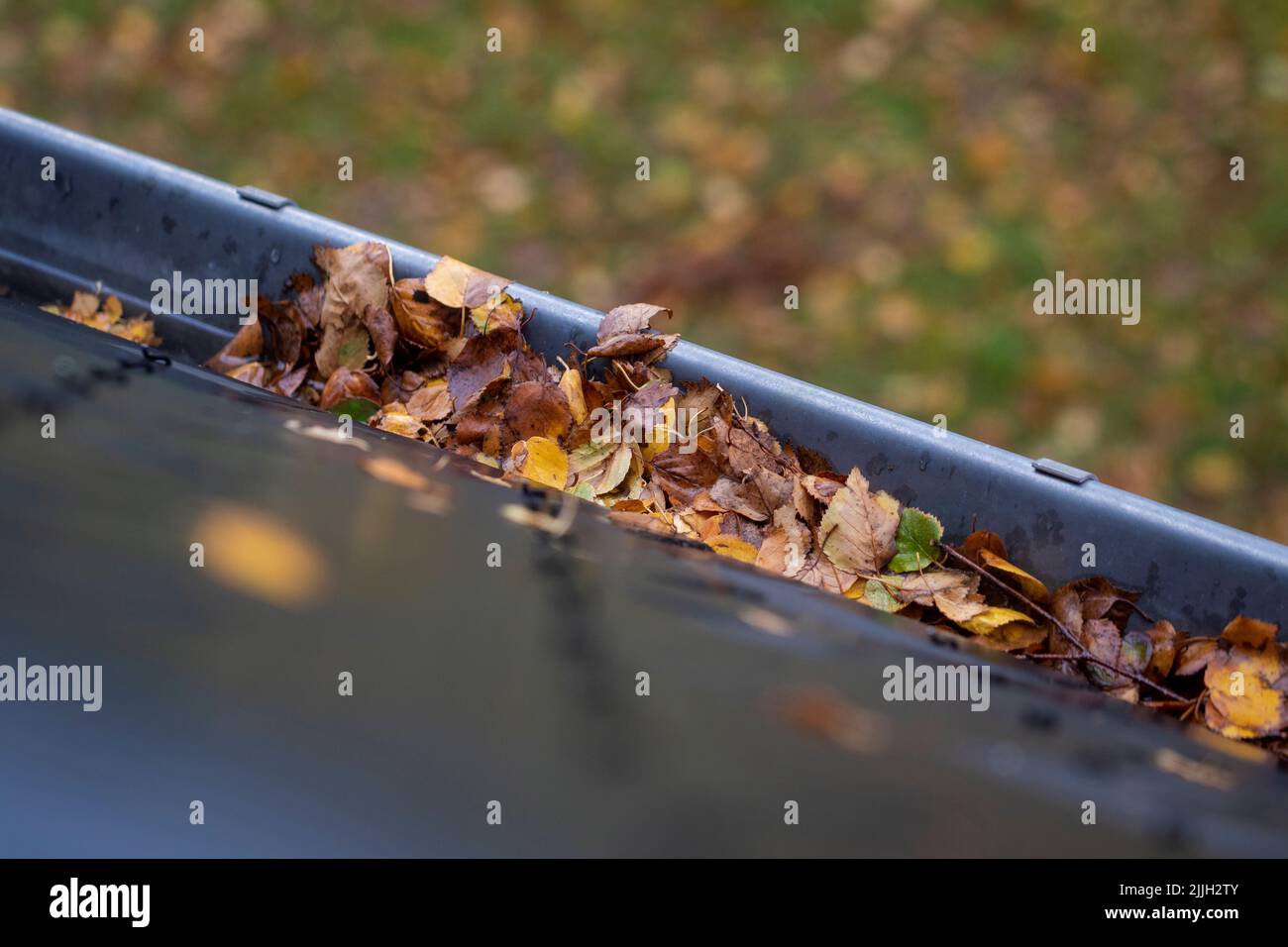 A portrait of a roof gutter full of colorful fallen leaves during fall ...
