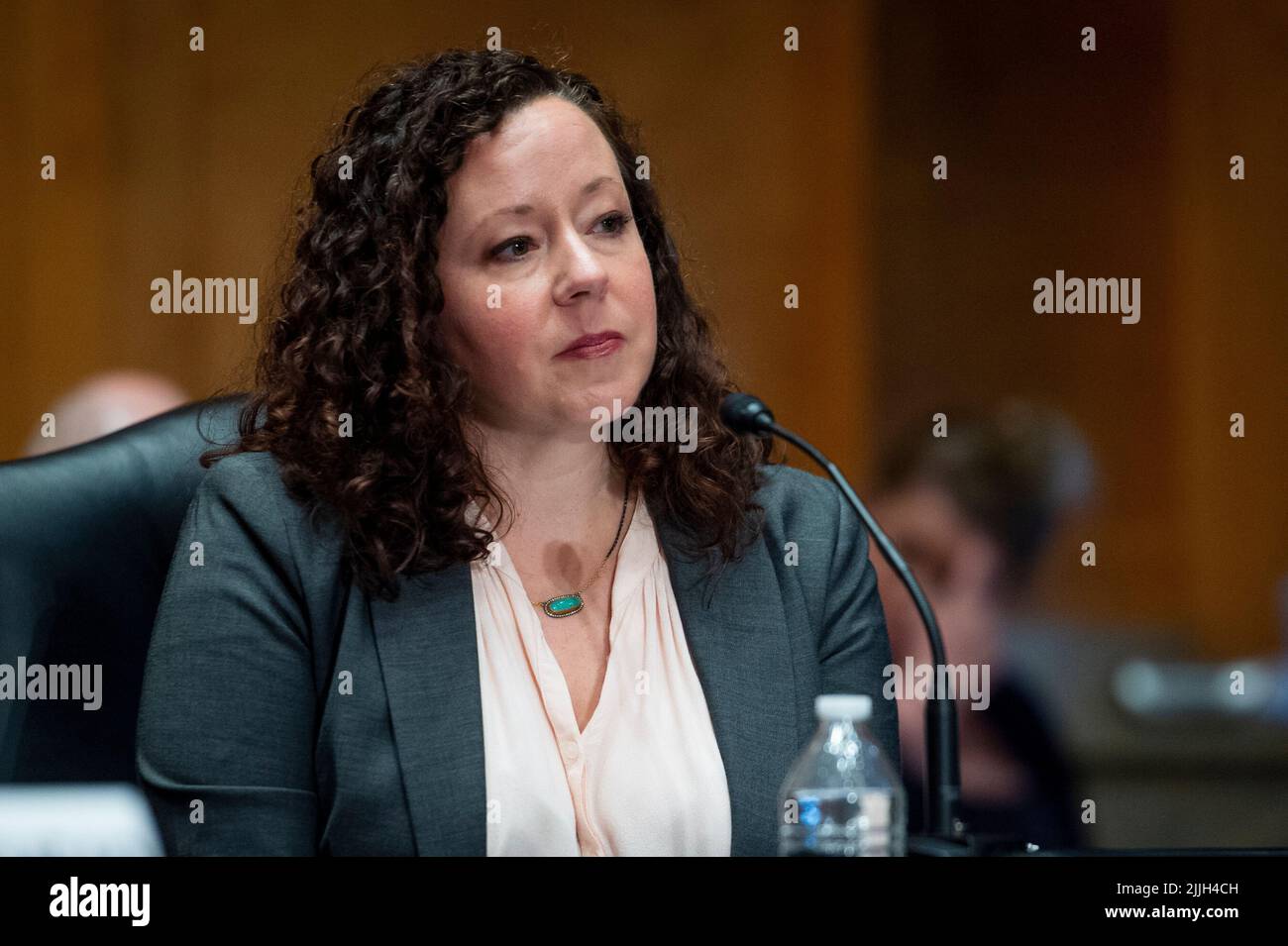 Federal defender program hi-res stock photography and images - Alamy