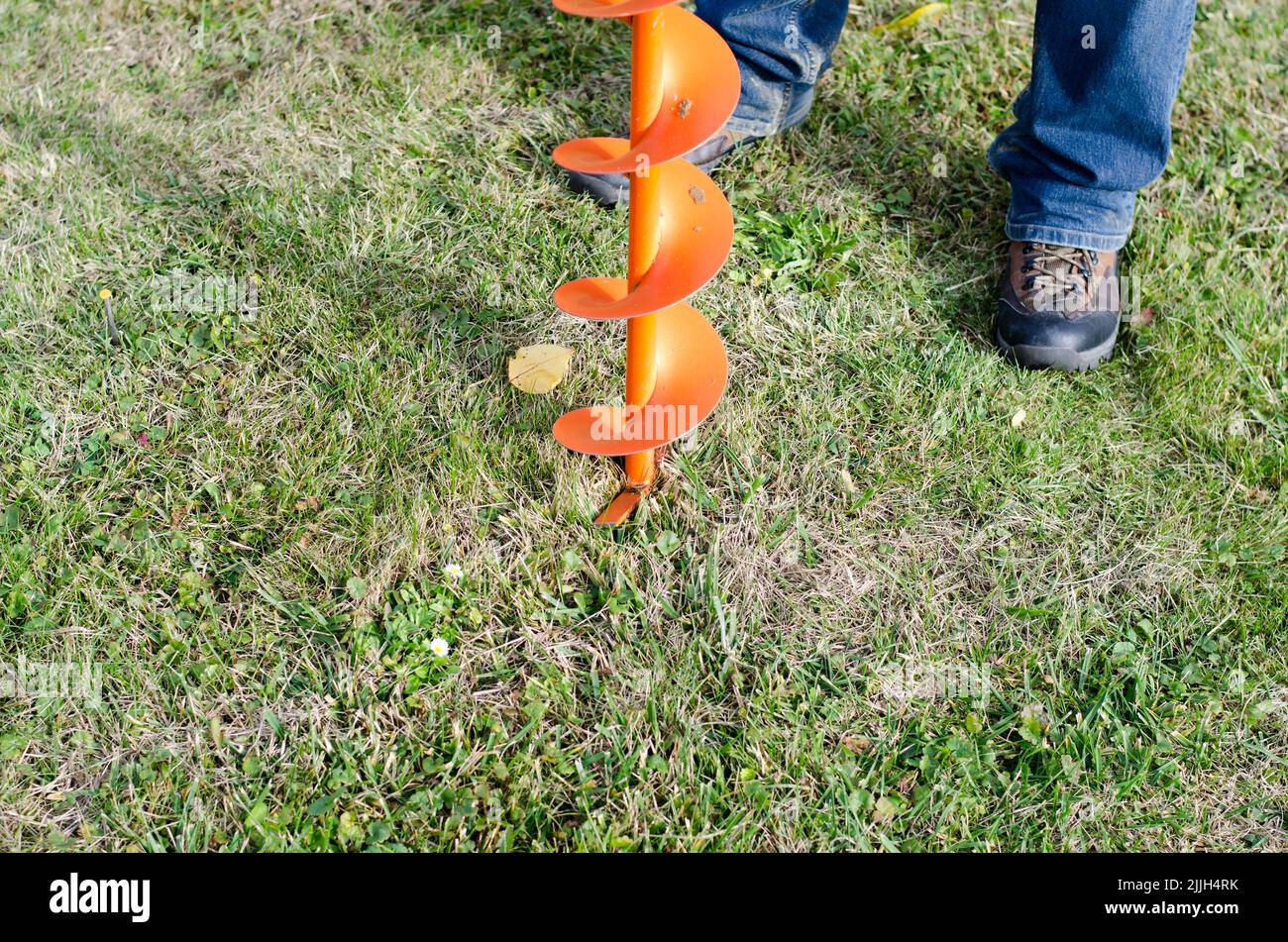 drukkubg naching preparing holes into soil for planting new plant, for ...