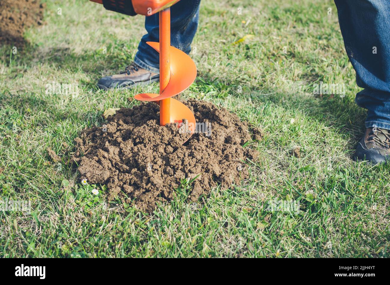 drukkubg naching preparing holes into soil for planting new plant, for ...
