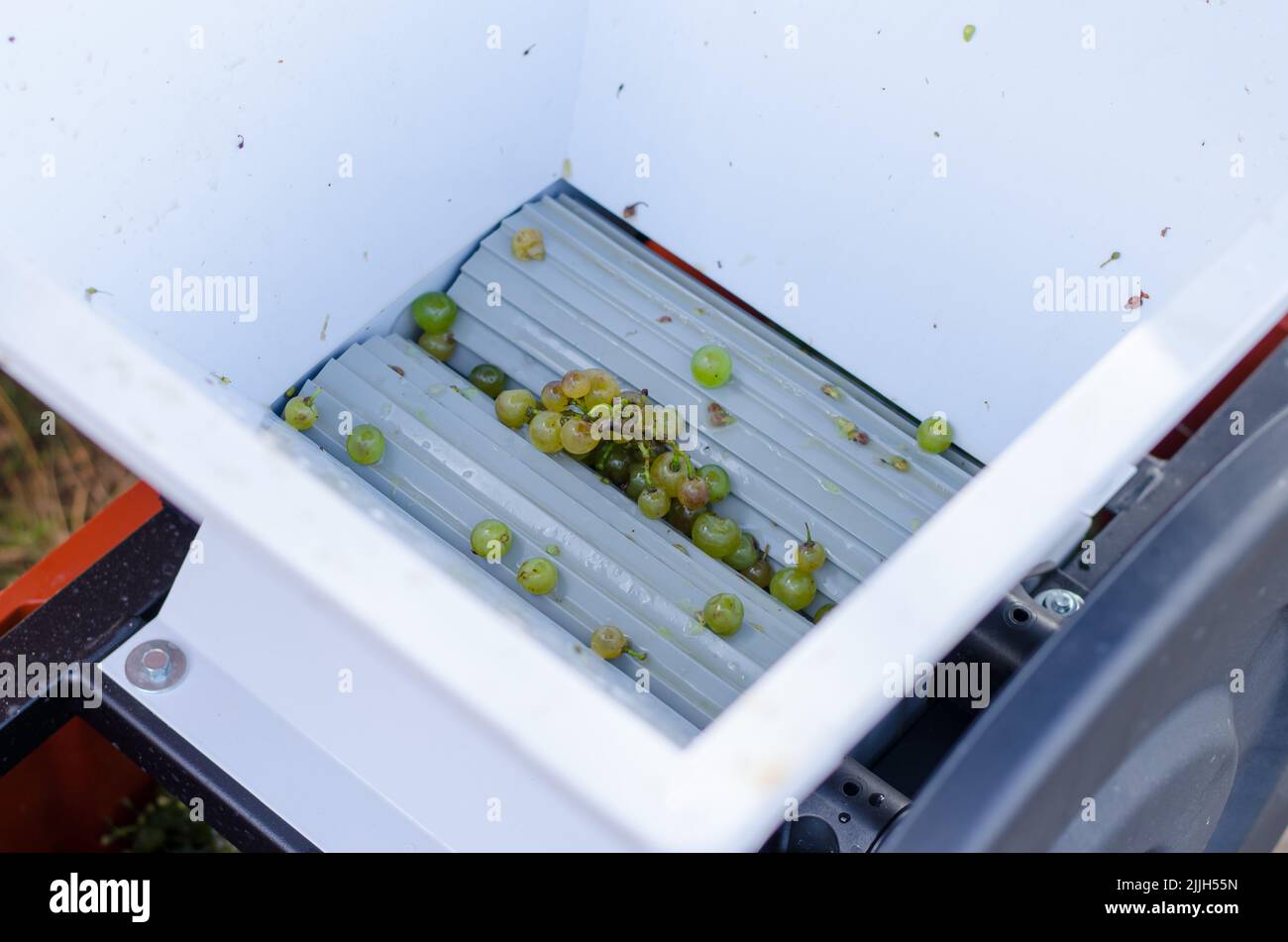 Wine making grape pressing machine hi-res stock photography and images ...