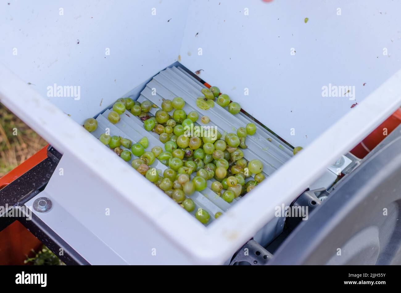 Machine for pressing and making wine hi-res stock photography and ...